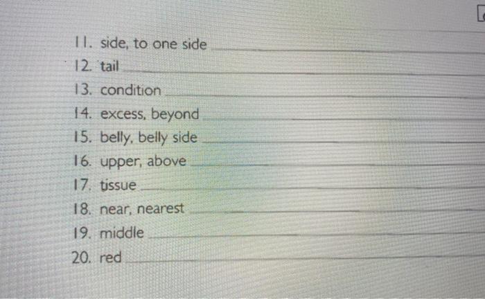 Solved Suffixes -ia Prefixes peri- super- ultra- -ar | Chegg.com