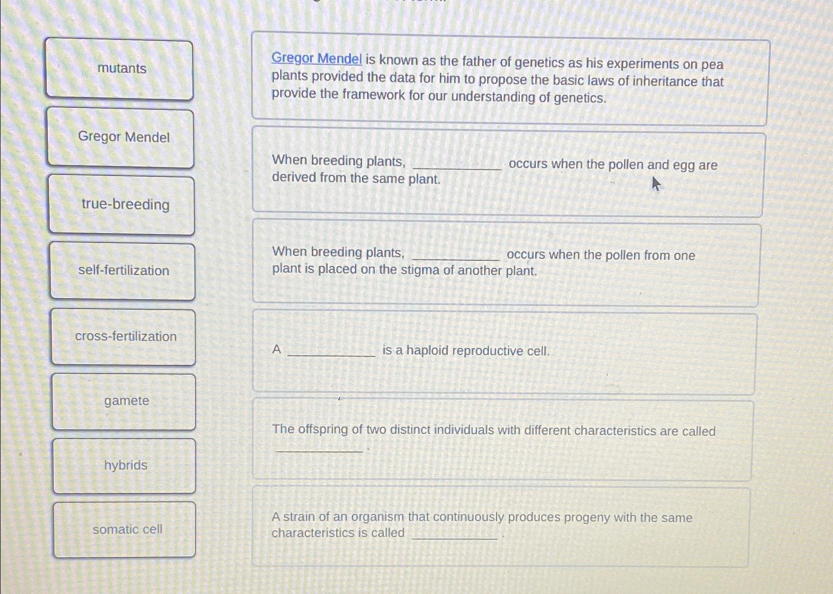 Solved Gregor Mendel is known as the father of genetics as | Chegg.com