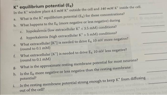 Solved K+equilibrium potential (EK) In the K+window place | Chegg.com