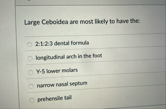 Solved Large Ceboidea are most likely to have the:2:1:2:3 | Chegg.com