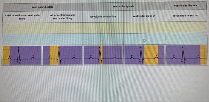 Blood flow labels Valve state labels All valves | Chegg.com