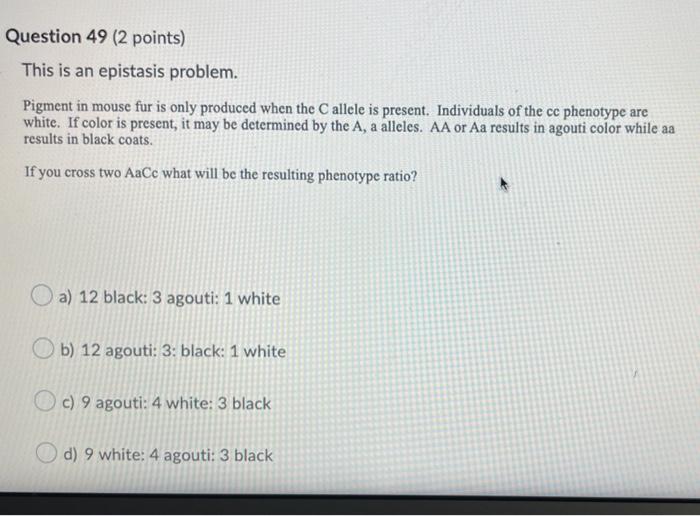 Solved Question 49 (2 points) This is an epistasis problem. | Chegg.com