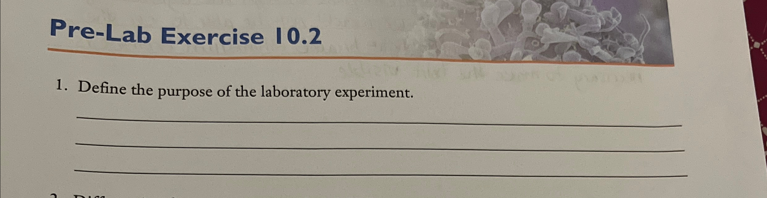 Solved Pre-Lab Exercise 10.2Define the purpose of the | Chegg.com