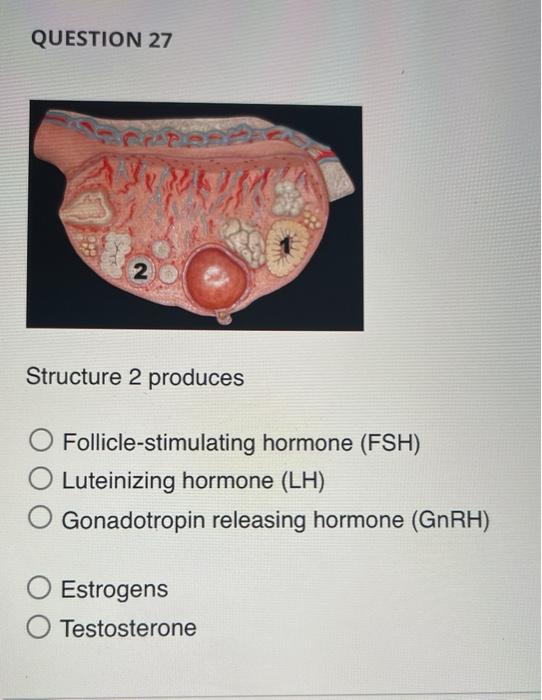 Solved QUESTION 29 IDENTIFY BLOOD TYPE 2 Control Anti-A | Chegg.com