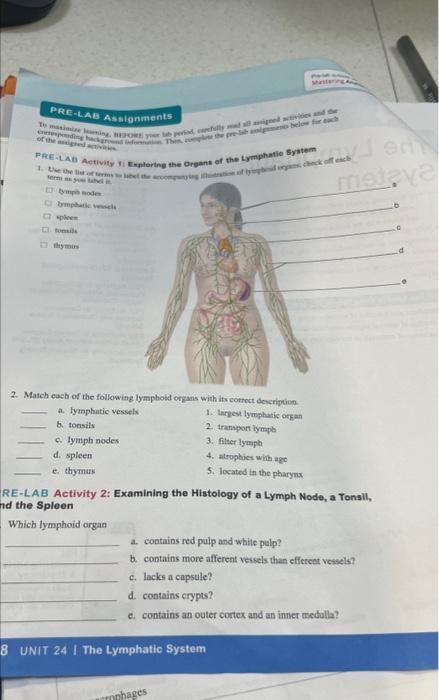 Solved PRE-LAB Assignments co the andinered having and | Chegg.com