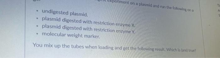 Undigested Plasmid Plasmid Digested With