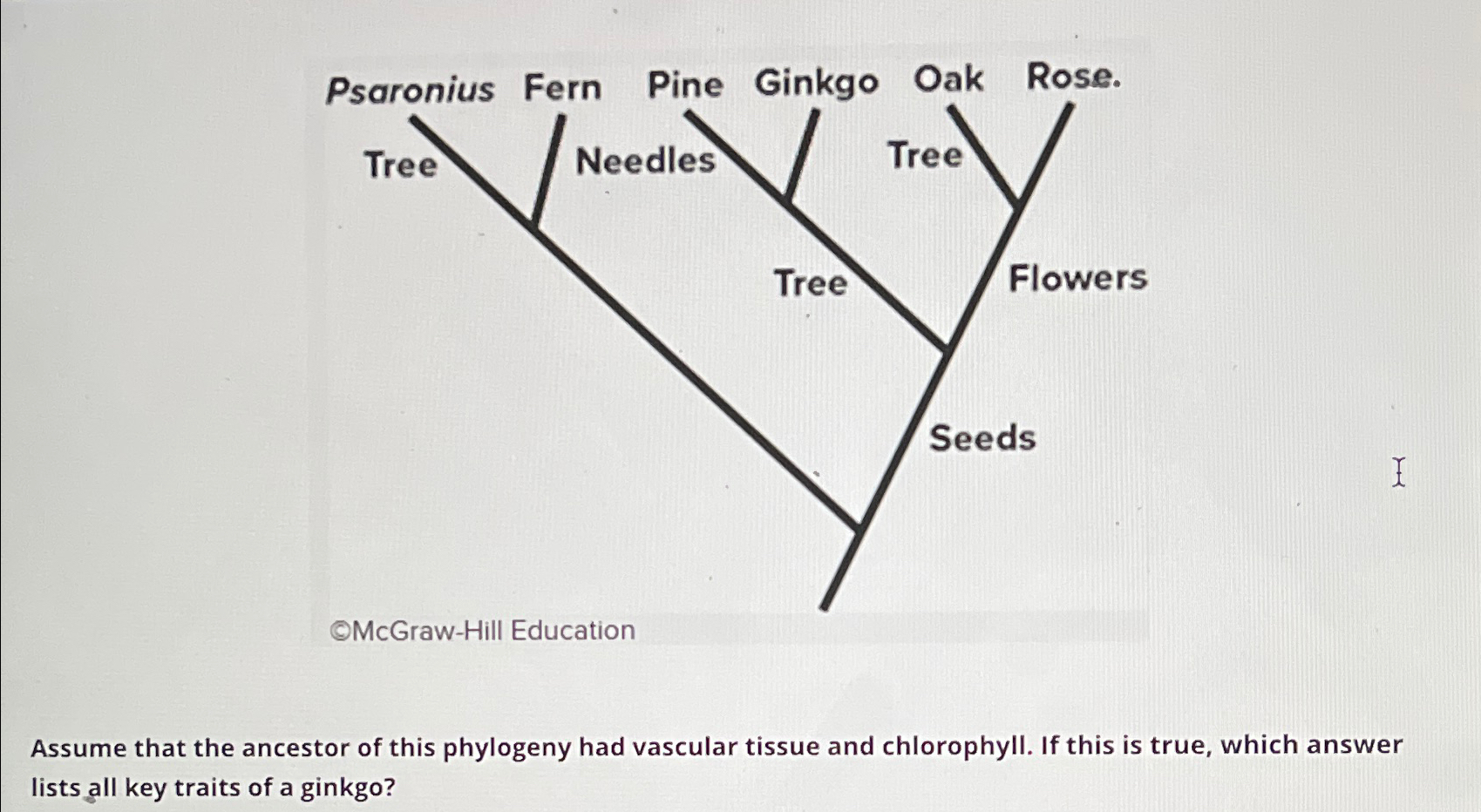 Solved Assume that the ancestor of this phylogeny had | Chegg.com