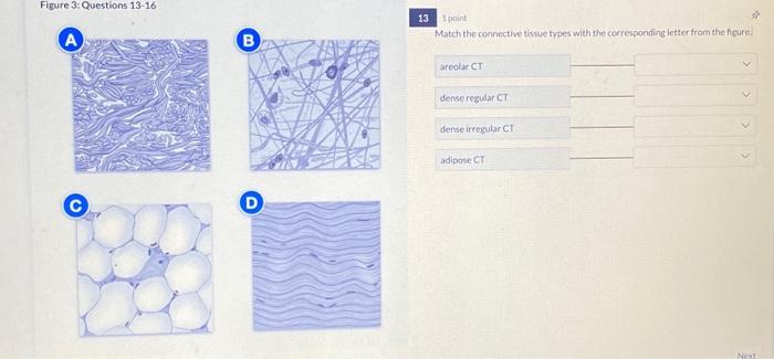 Solved Figure 3: Questions 13-16 13.1 point Match the | Chegg.com