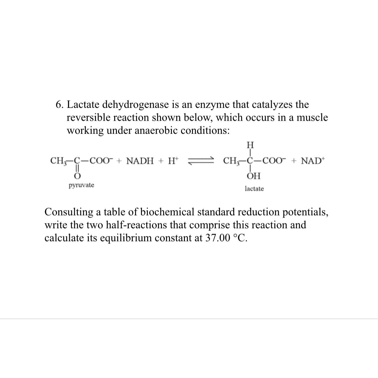 Solved Lactate dehydrogenase is an enzyme that catalyzes the | Chegg.com