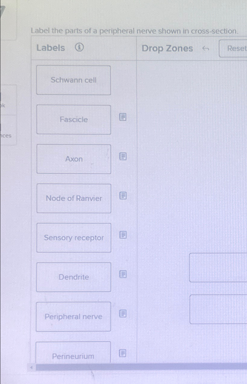 Solved Label the parts of a peripheral nerve shown in | Chegg.com