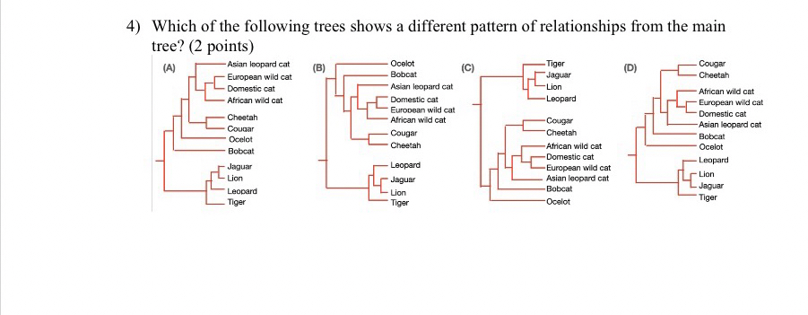 Solved Which of the following trees shows a different | Chegg.com