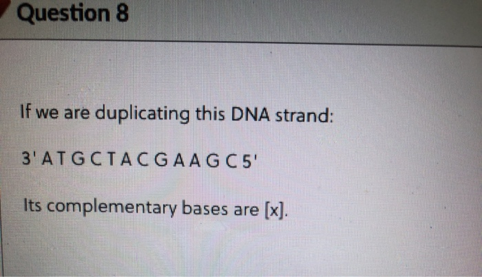 Solved Question 8 If we are duplicating this DNA strand: | Chegg.com