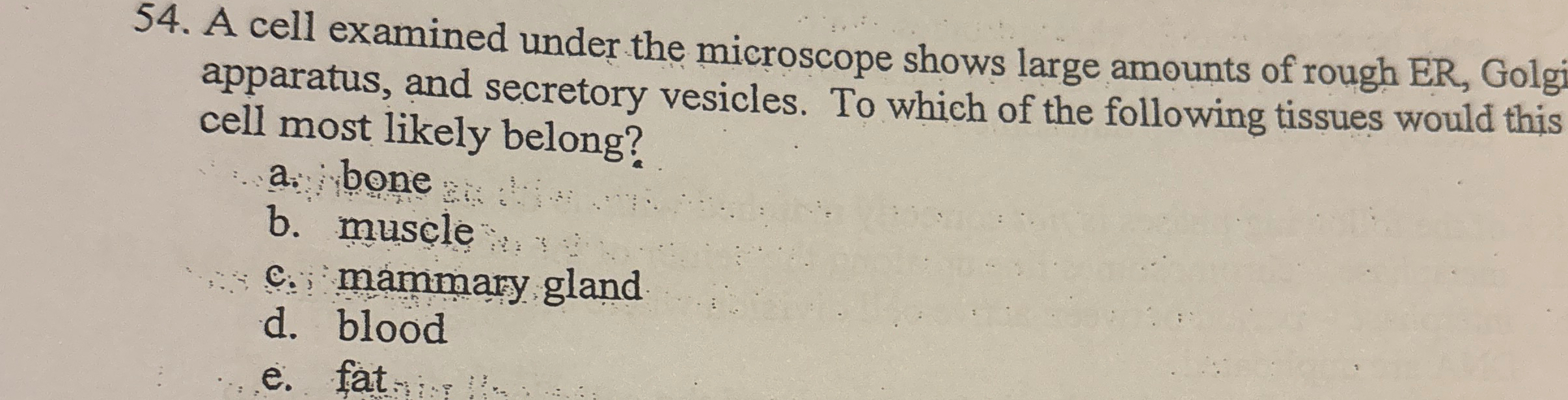 Solved A cell examined under the microscope shows large | Chegg.com