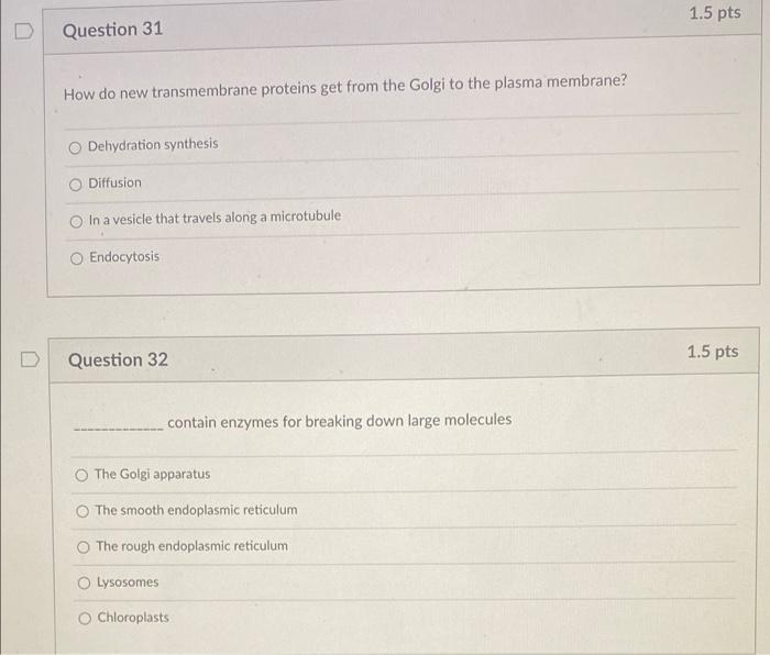 Solved A secondary protein structure called an alpha helix | Chegg.com
