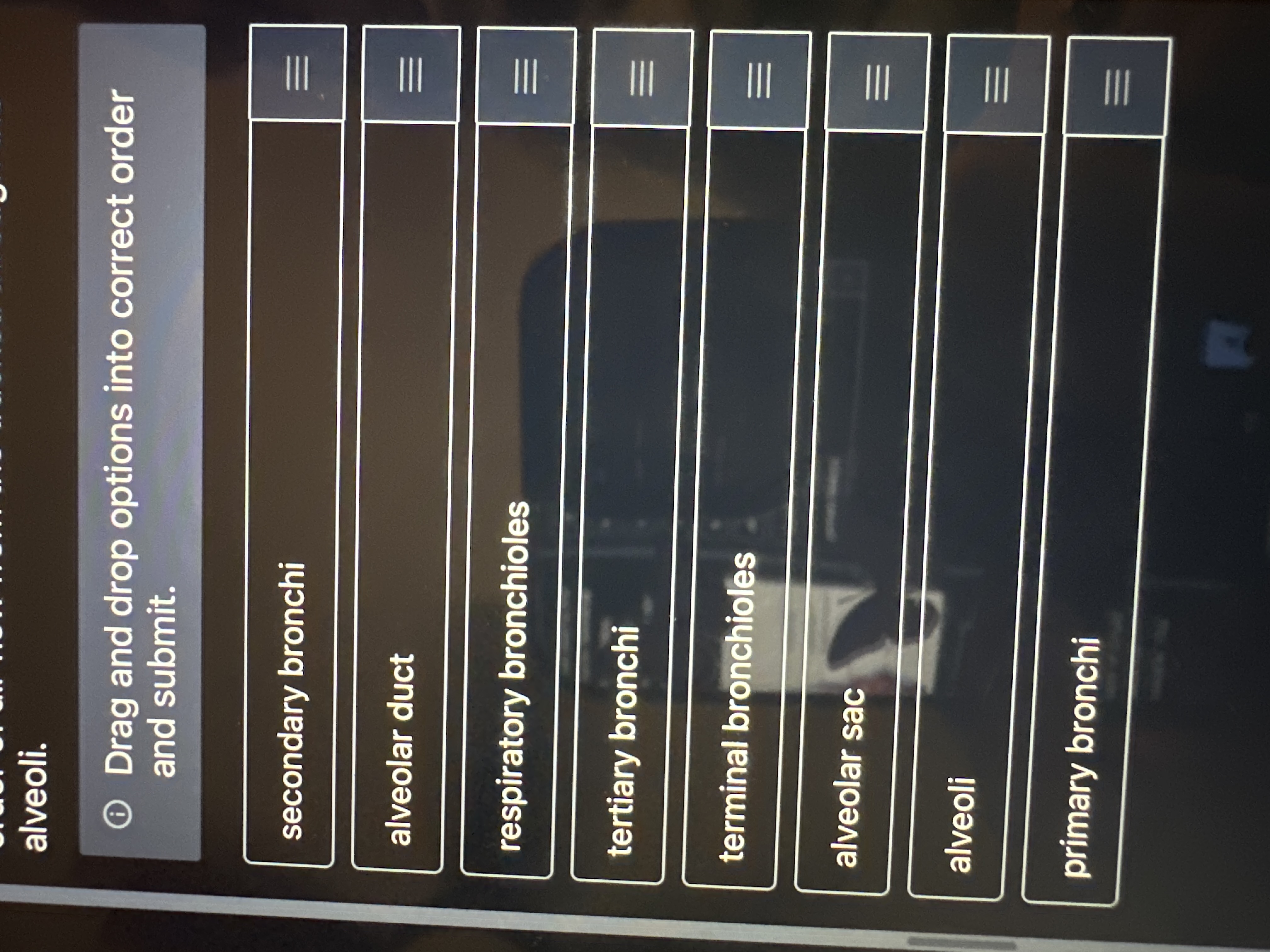 Solved alveoli.Drag and drop options into correct orderand | Chegg.com