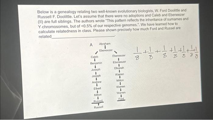 Solved Below is a genealogy relating two well-known | Chegg.com