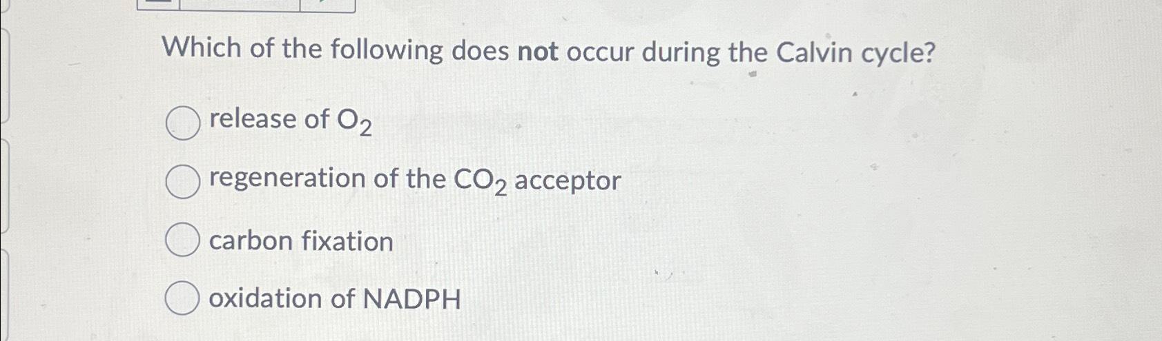 Solved Which of the following does not occur during the | Chegg.com
