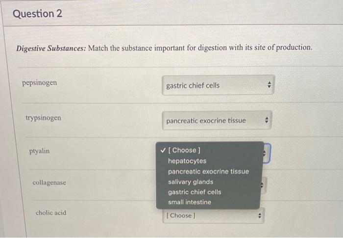 Solved Digestive Substances: Match the substance important | Chegg.com