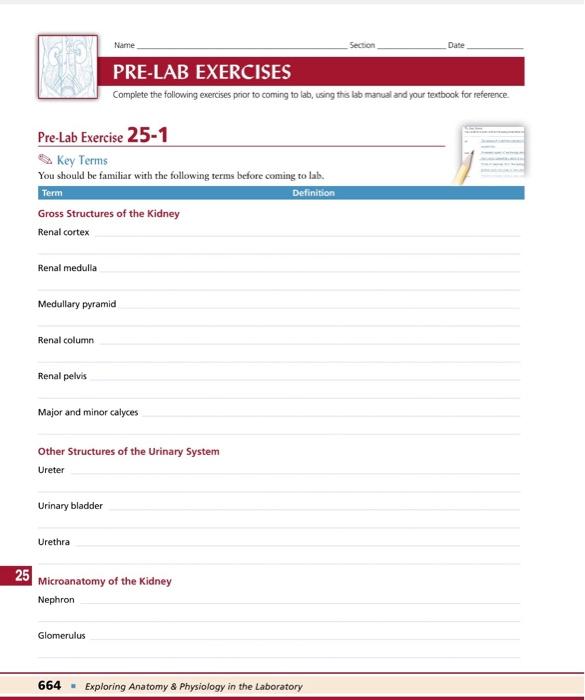 Solved Name Date PRE-LAB EXERCISES Complete the following | Chegg.com