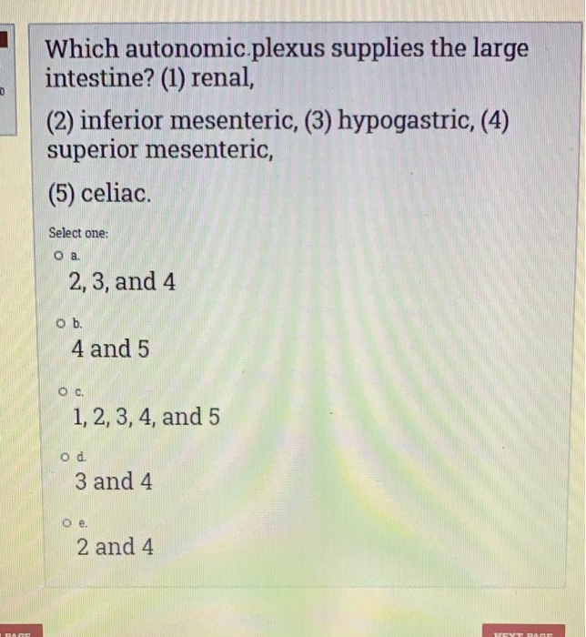 Solved Which Autonomic Plexus Supplies The Large Intestine