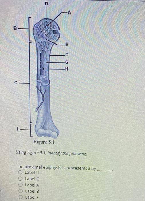 Solved Figure 5.4 The type of joint shown in Figure 5.4 is. | Chegg.com Solved Figure 5.4 The type of joint shown in Figure 5.4 is. | Chegg.com