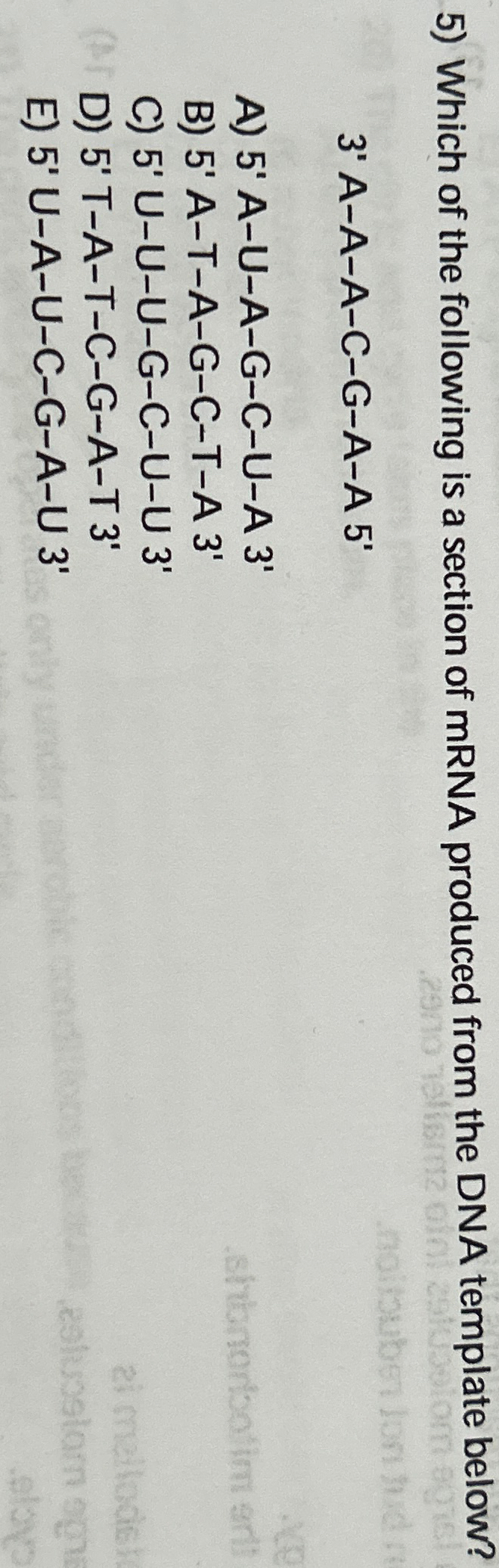 Solved Which of the following is a section of mRNA produced | Chegg.com