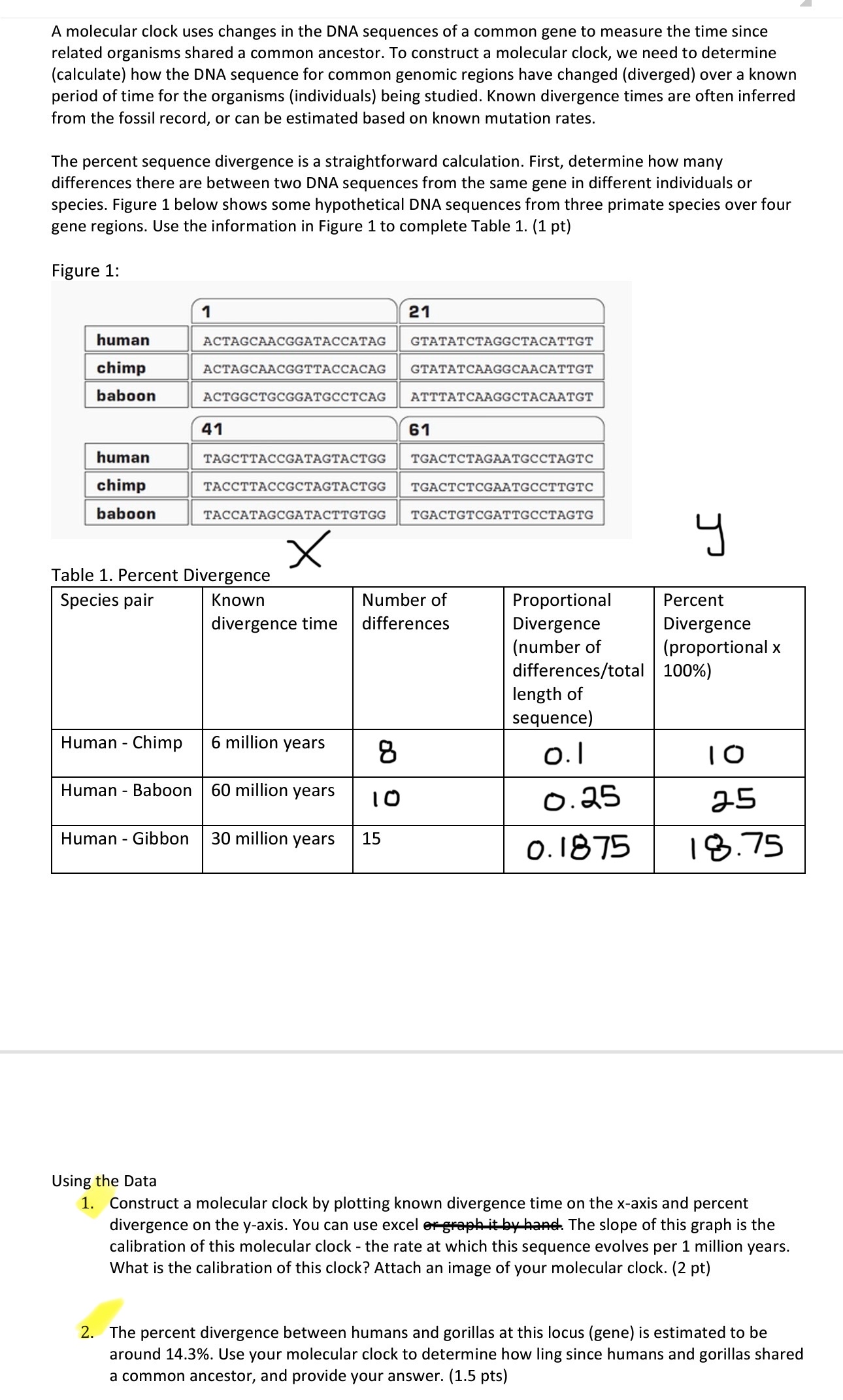 Solved Using the DataConstruct a molecular clock by plotting | Chegg.com