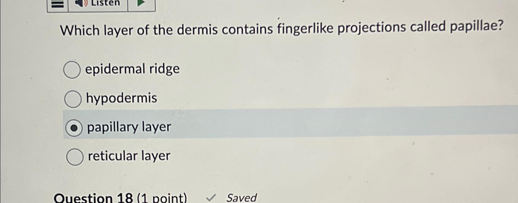 Solved Which layer of the dermis contains fingerlike | Chegg.com