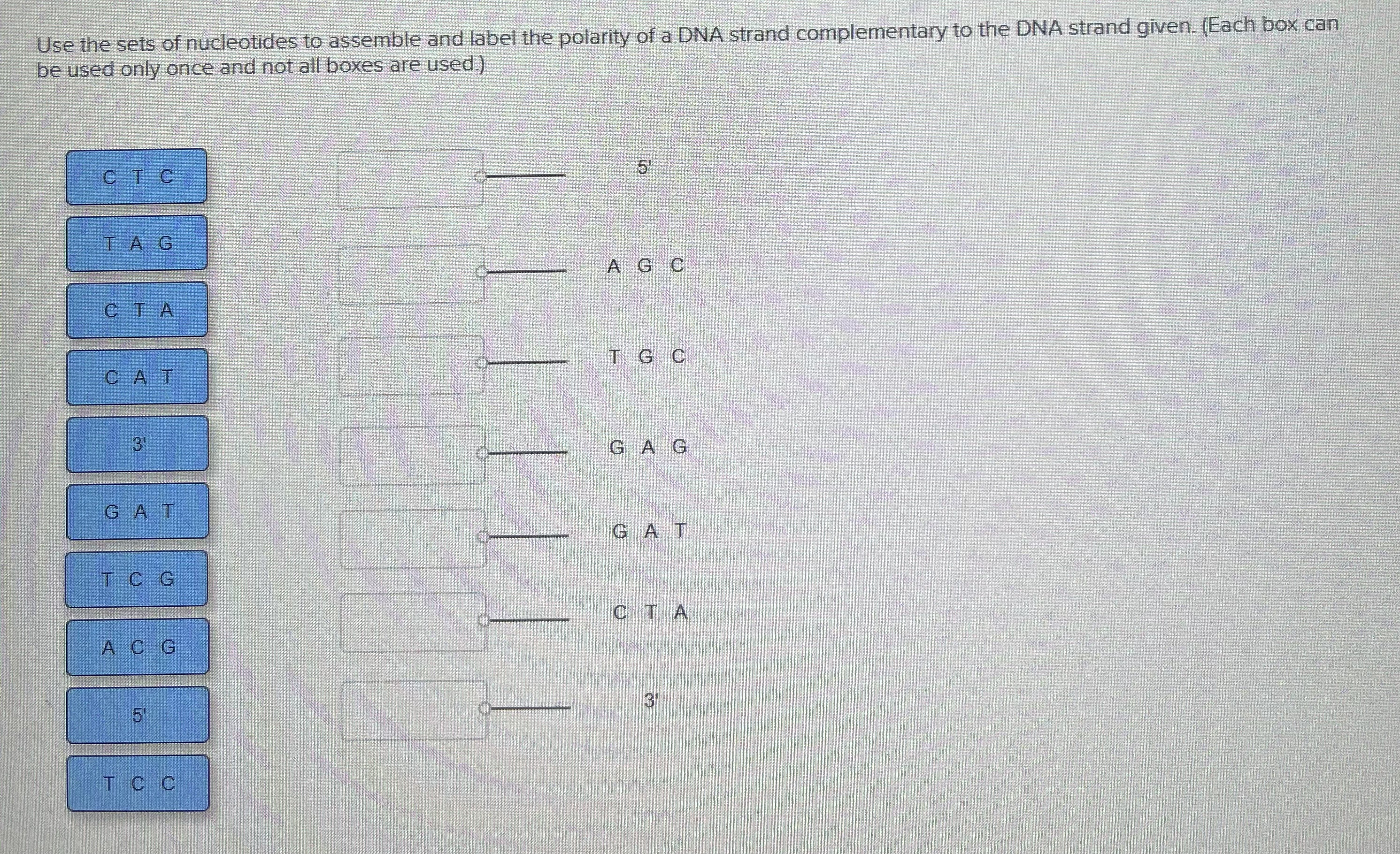 Solved Use the sets of nucleotides to assemble and label the | Chegg.com