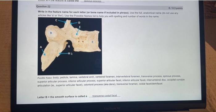 Solved can i please get help with these?Write in the feature | Chegg.com