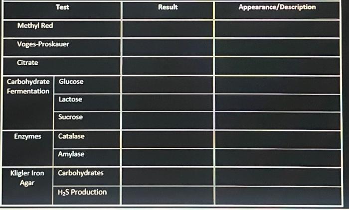 Solved Gram Staining Carbohydrate Fermentation Test | Chegg.com