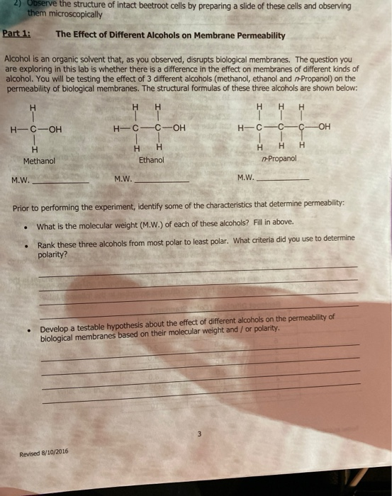 Solved 2) Observe the structure of intact beetroot cells by | Chegg.com
