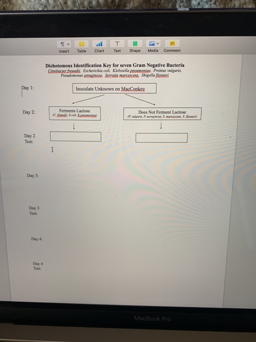 Solved TE . T Insert Table Chart Text Shape Media Comment | Chegg.com
