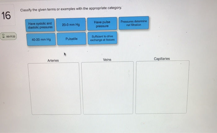 Solved Classify the given terms or examples with the | Chegg.com