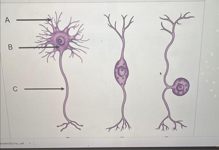 Solved label | Chegg.com
