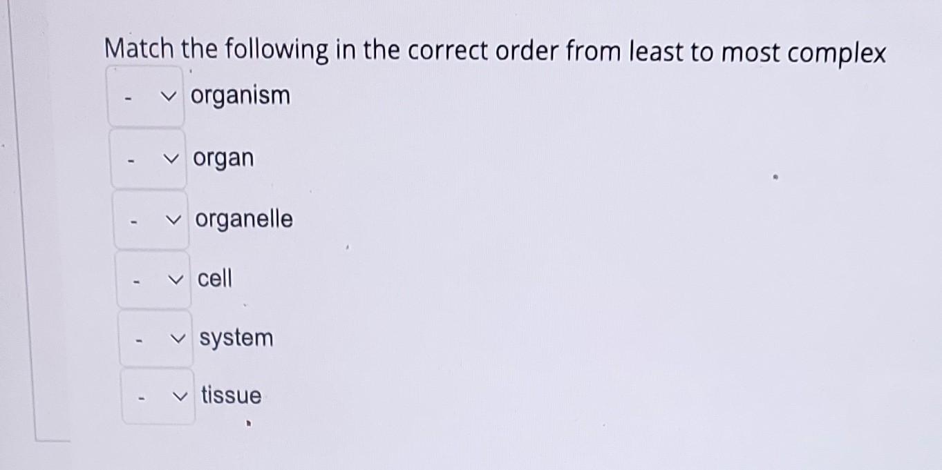 [Solved]: I need help organizing this Match the fo