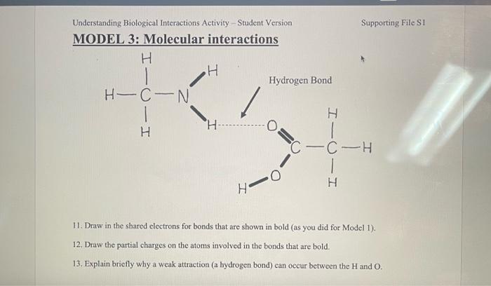 Solved Understanding Biological Interactions Activity - | Chegg.com