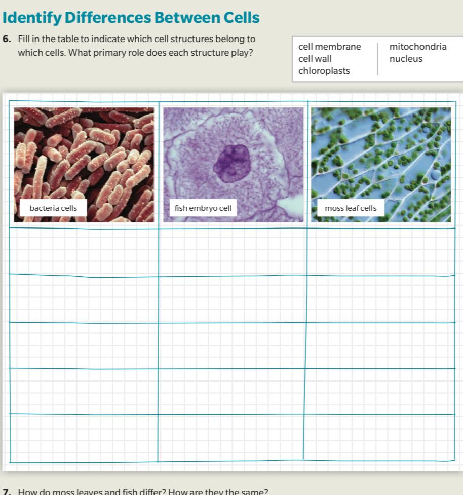 Solved Identify Differences Between Cells\\n6. Fill in the | Chegg.com