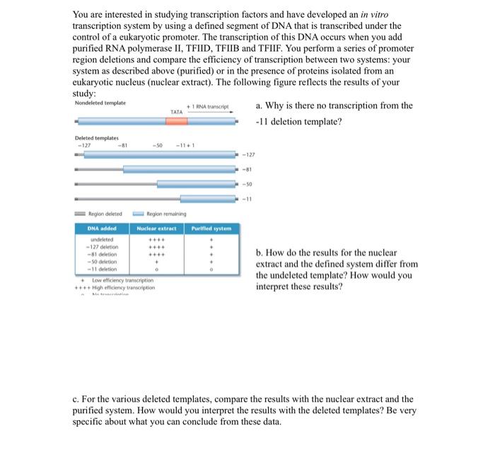 Solved You are interested in studying transcription factors | Chegg.com