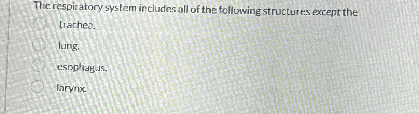 Solved The respiratory system includes all of the following | Chegg.com