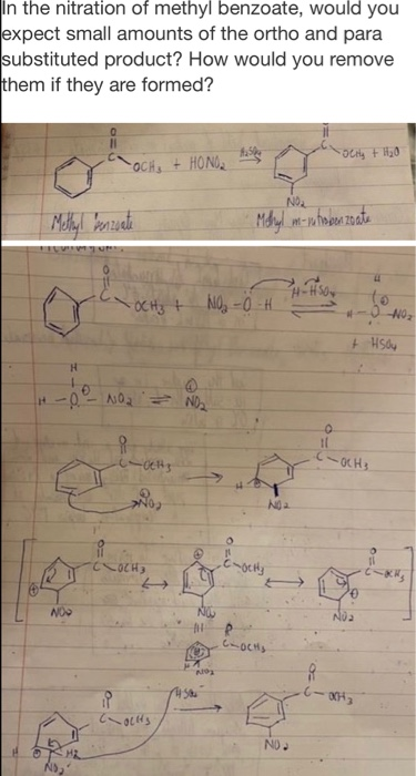 Solved In the nitration of methyl benzoate, would you expect | Chegg.com