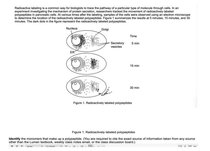 Solved Radioactive labeling is a common way for biologists | Chegg.com