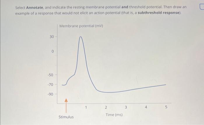 Solved Select Annotate, and indicate the resting membrane | Chegg.com