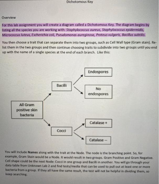 Solved Dichotomous Key Overview For this lab assignment you | Chegg.com