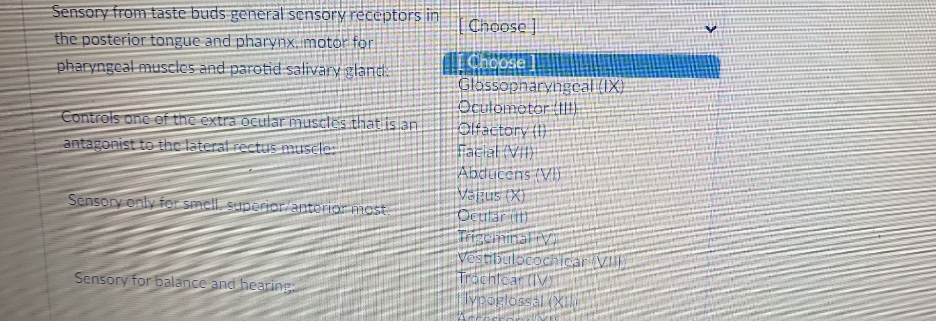 Solved Sensory from taste buds general sensory receptors in | Chegg.com