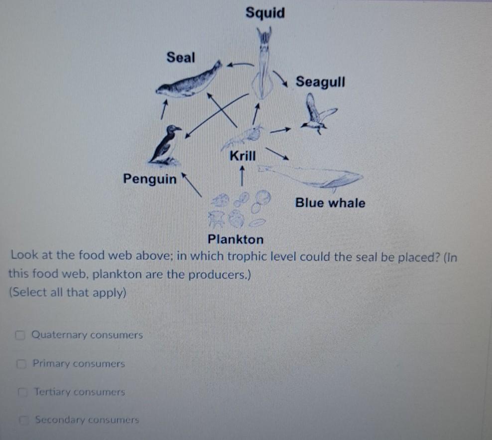 Solved Squid Seal Seagull Krill Penguin Blue whale Plankton | Chegg.com