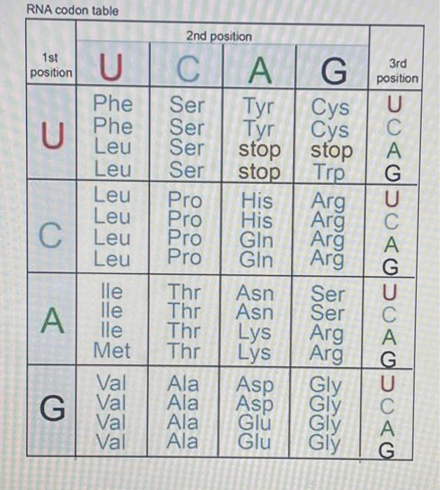Take a closer look at the large universal genetic | Chegg.com