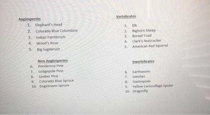 Solved Construct a phylogenetic tree of given species using | Chegg.com