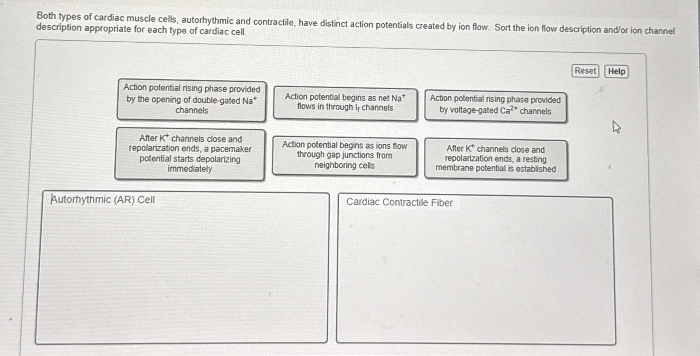 Solved Both types of cardiac muscle cells, autorhythmic and | Chegg.com