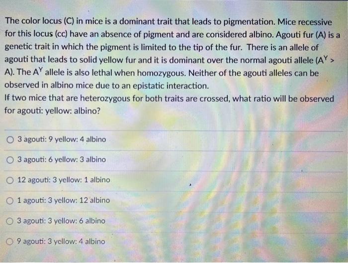 Solved The color locus (C) in mice is a dominant trait that | Chegg.com